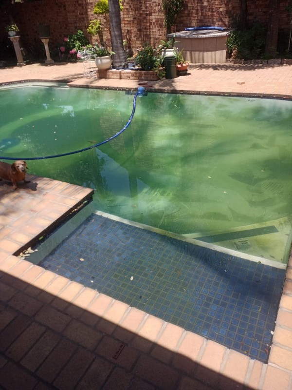 Pool Maintenance East Rand | Pool Services Boksburg | Pools